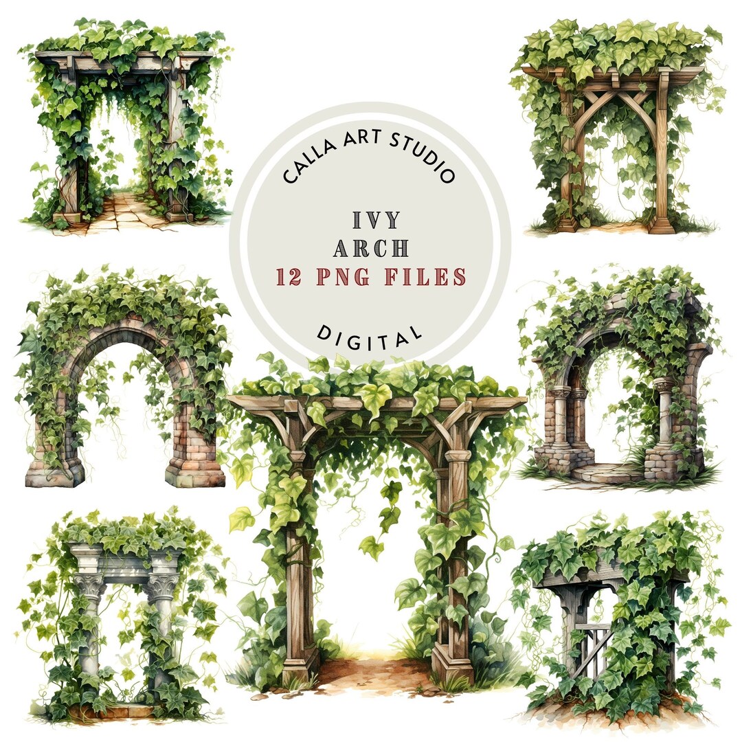 Ivy Watercolor Clipart Set, Greenery Clipart, Foliage Illustration ...