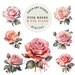 Watercolor Pink Rose Clipart Bundle Flower Clipart Pink Flower Png Rose ...