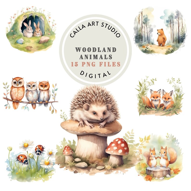 Woodland Animals Watercolor Clipart for Nursery Baby Animals Clipart ...