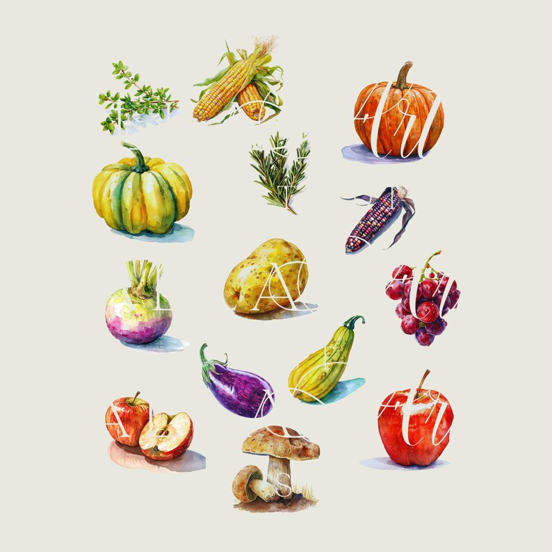 Watercolor Fall Harvest Clipart Bundle, Autumn Clipart, Watercolor Fall ...