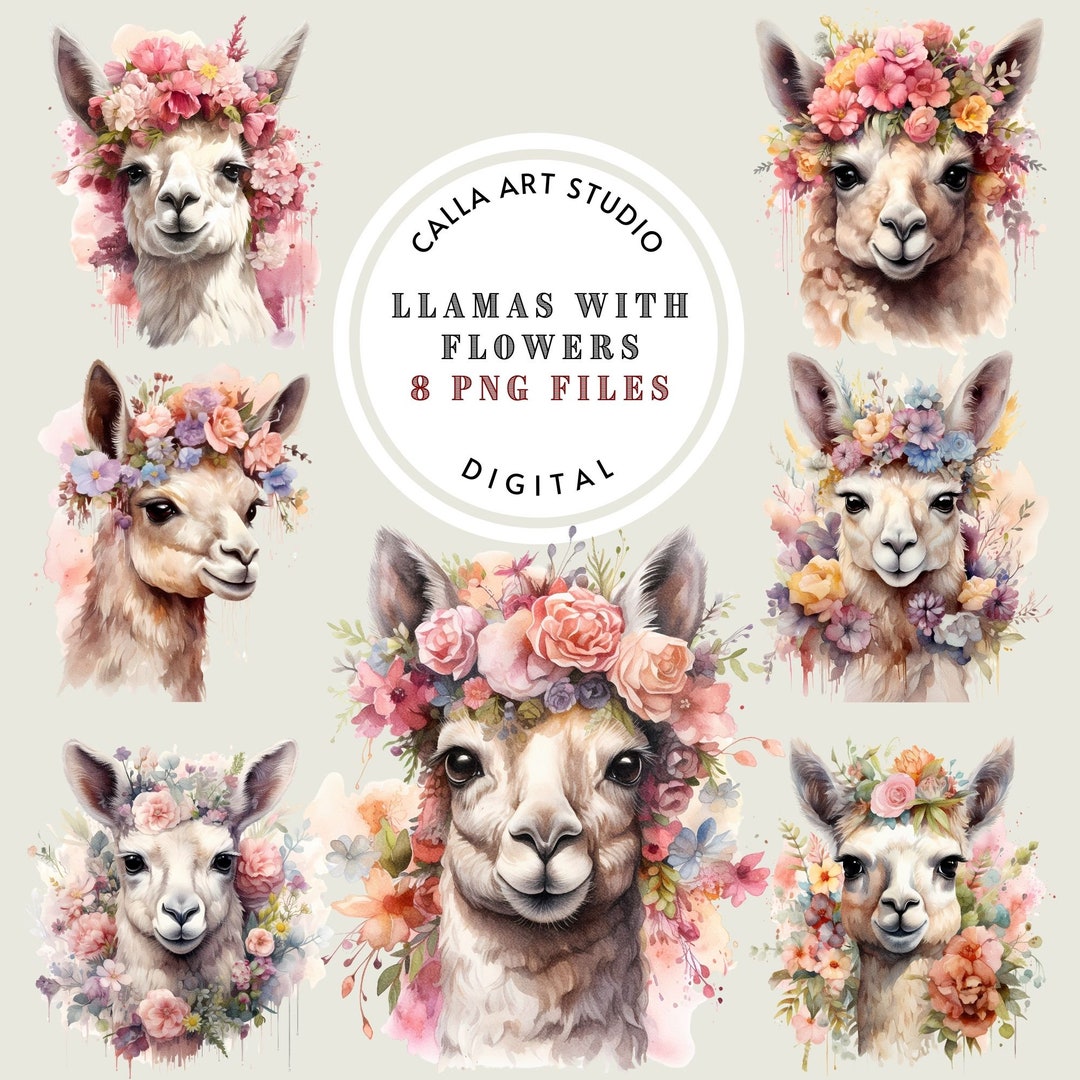 Watercolor Llamas Clipart, Cute Llama With Flowers Images, Graphics for ...