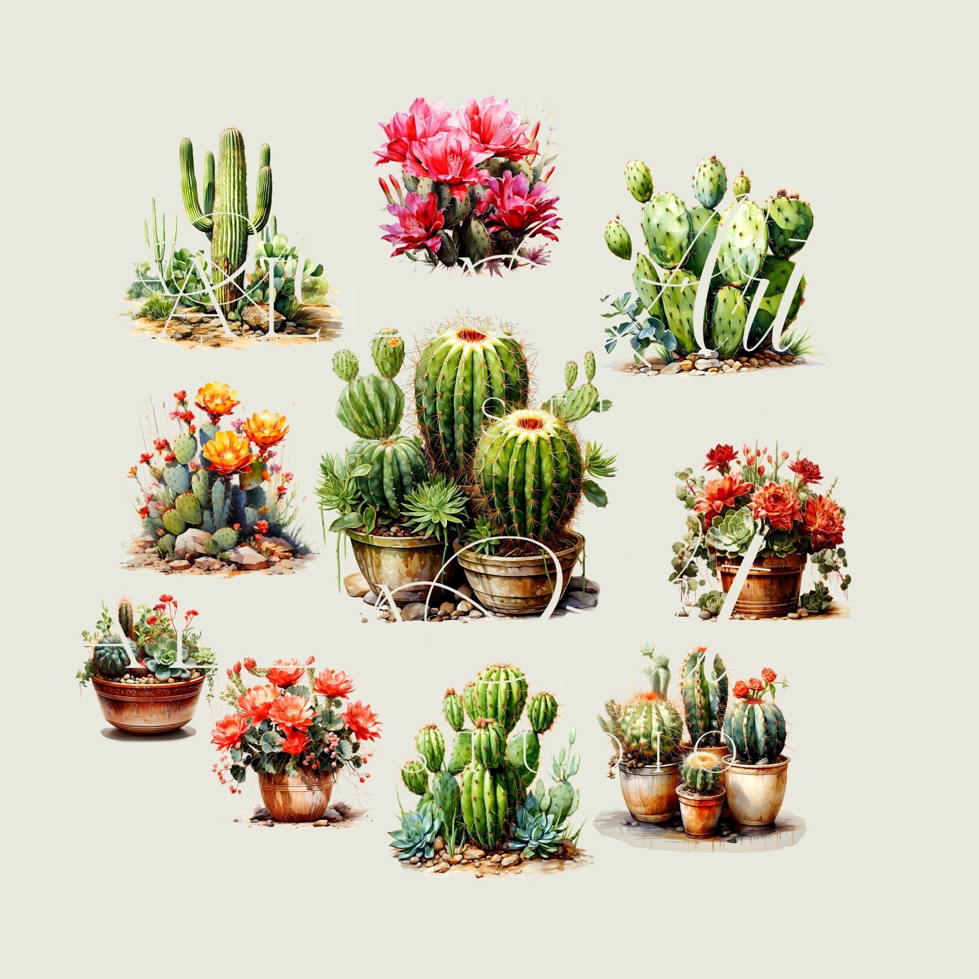 Watercolor Cactus Clipart, Desert Cactuspng, Botanical Plant Clip Art ...