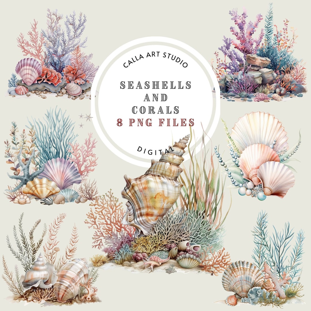 Watercolor Seashells and Corals Clipart Bundle, Beach Clipart, Nautical ...