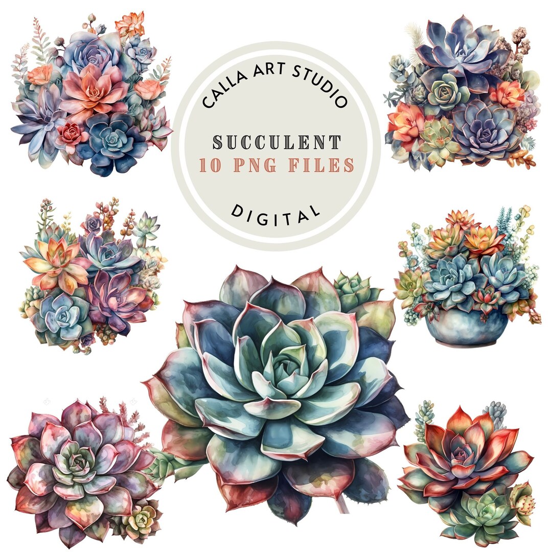 Succulent Cactus Png Clipart Succulent Clipart Watercolor Botanical ...