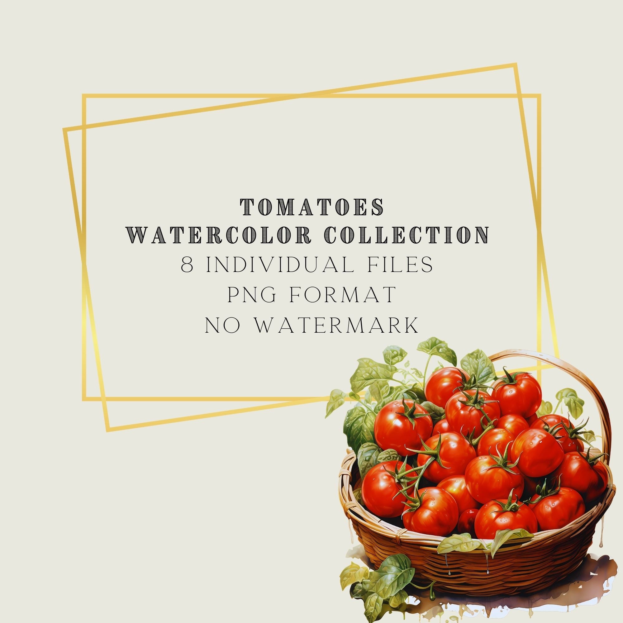 Watercolor Tomatoes Clipart Food PNG Files Vegetable Clip Art Tomatoes ...