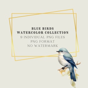 Watercolor Birds Clipart Bundle, Spring Birds Clipart, Blue Birds ...