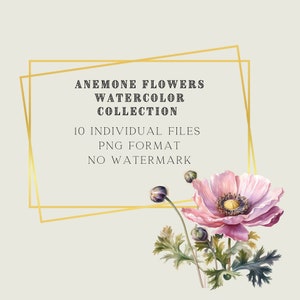 Watercolor Anemone Clipart Bundle Flower Clipart Wedding Clipart Violet ...
