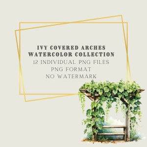 Ivy Watercolor Clipart Set, Greenery Clipart, Foliage Illustration ...