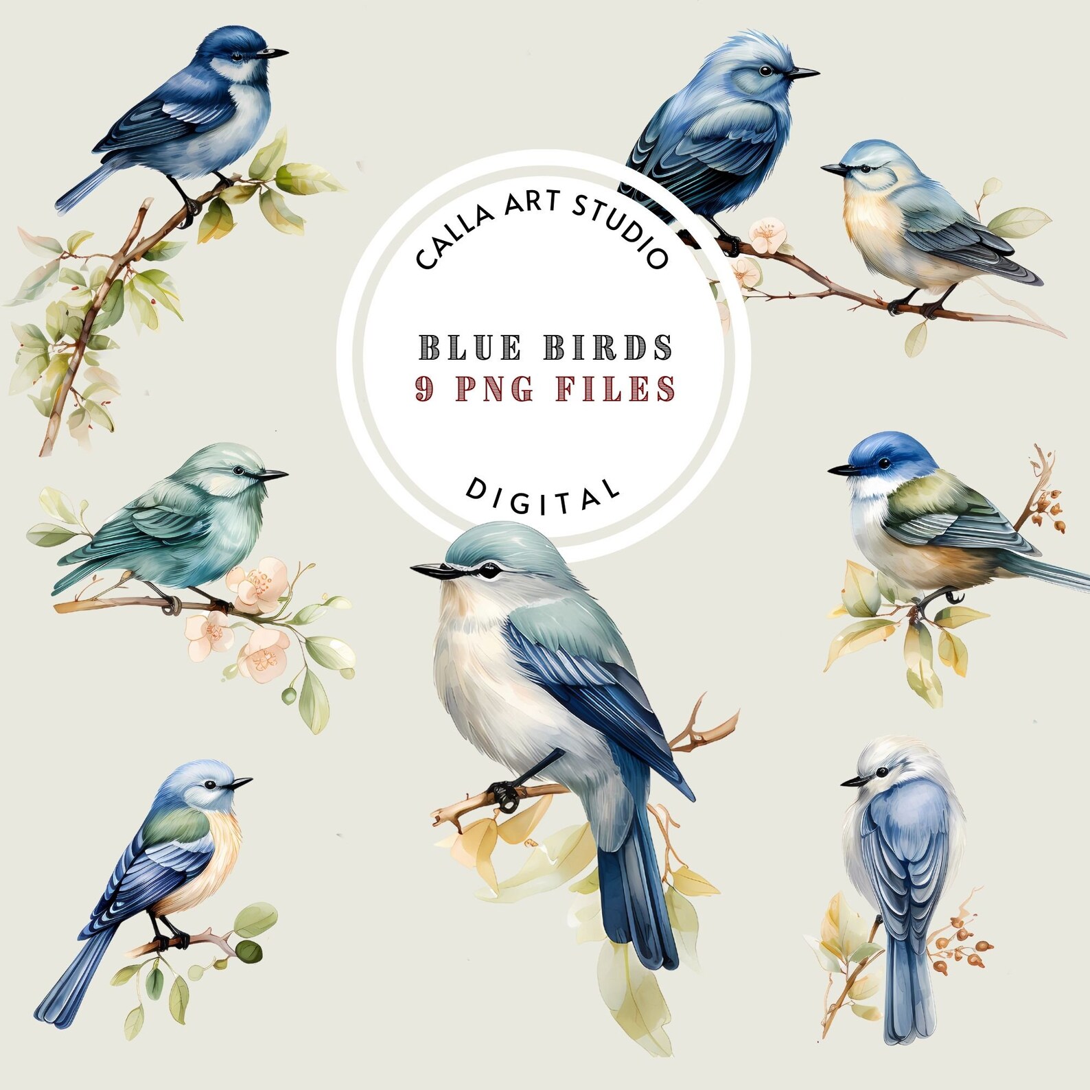 Watercolor Birds Clipart Bundle, Spring Birds Clipart, Blue Birds ...