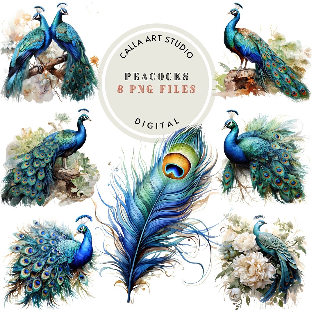 Elegant Watercolor Peacock Clipart Bundle Instant Download DIY Crafts ...