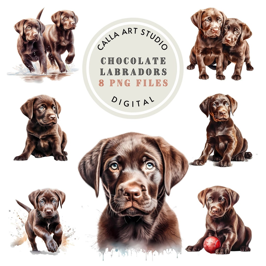 Chocolate Labrador Dog Clipart Watercolor Bundle Puppy Digital Portrait ...