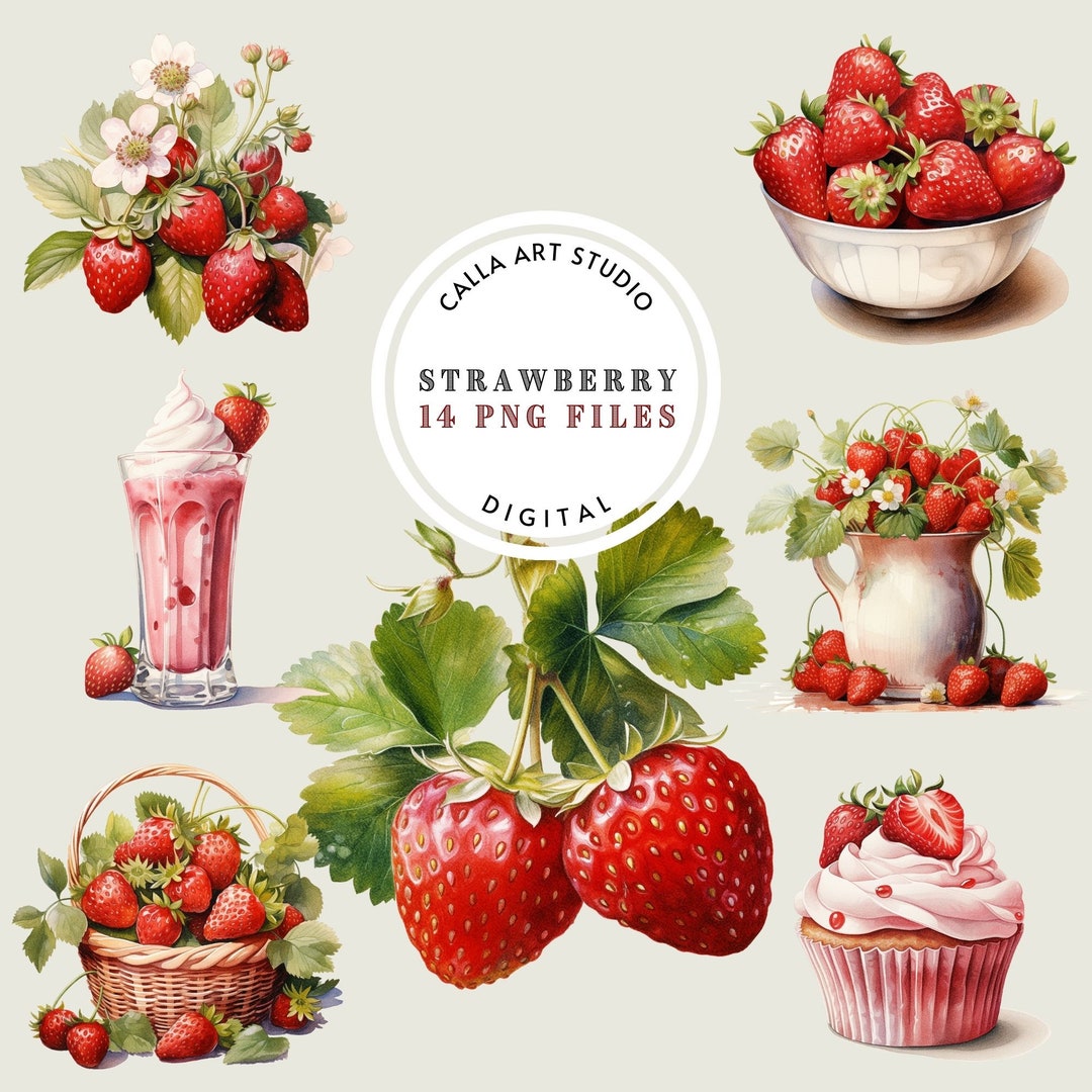 Strawberry Watercolor Clipart, Strawberry PNG, Fruit Illustration for ...