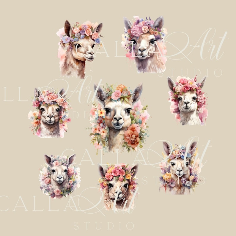 Watercolor Llamas Clipart, Cute Llama With Flowers Images, Graphics for ...