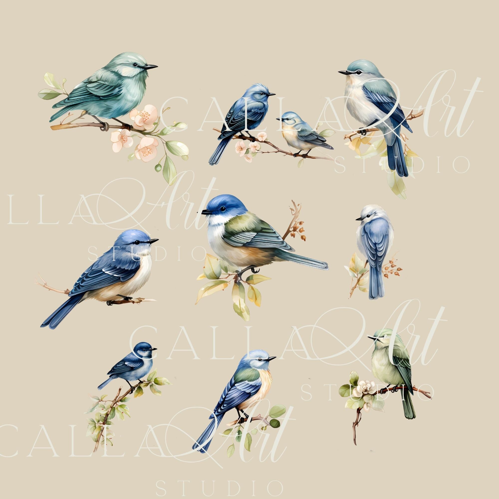 Watercolor Birds Clipart Bundle, Spring Birds Clipart, Blue Birds ...