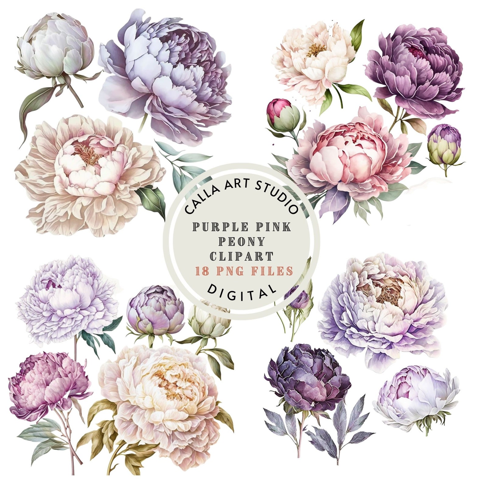 Watercolor Peony Clipart Flower Png Bundle Pink Boho Flowers Digital ...