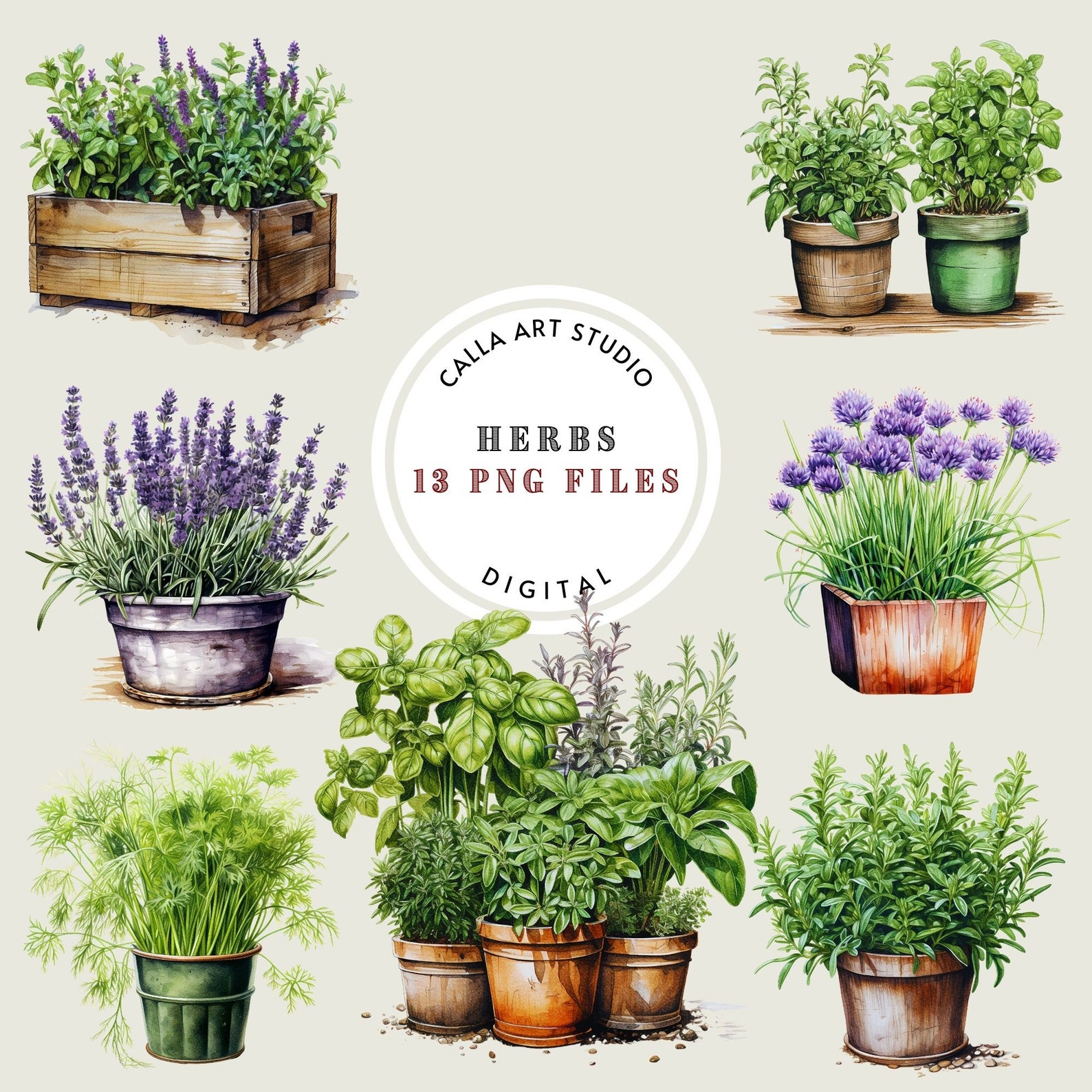 Kitchen Herbs Watercolor Clipart, Lavender Rosemary Parsley Images ...