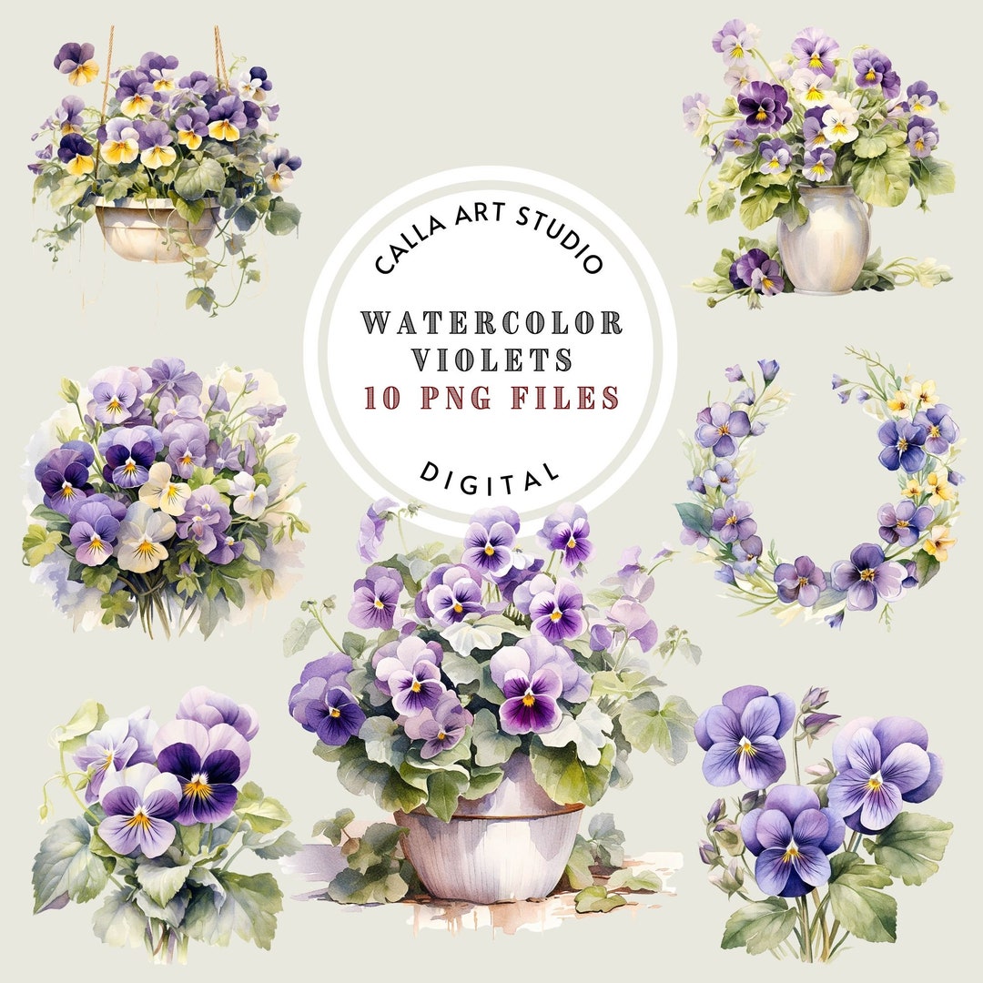 Watercolor Violets Clipart Bundle, Floral Art for DIY Crafts, Designers ...