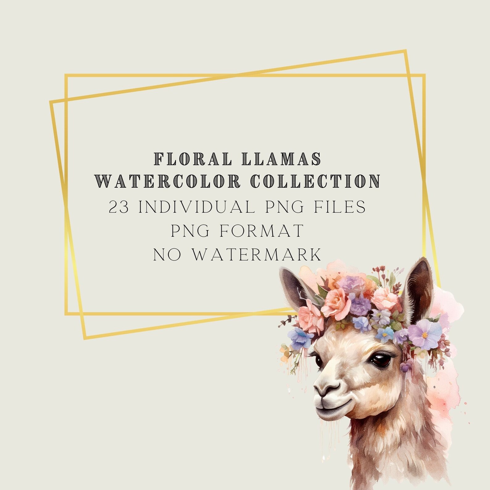 Watercolor Llamas Clipart, Cute Llama With Flowers Images, Graphics for ...