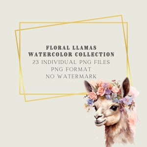 Watercolor Llamas Clipart, Cute Llama With Flowers Images, Graphics for ...