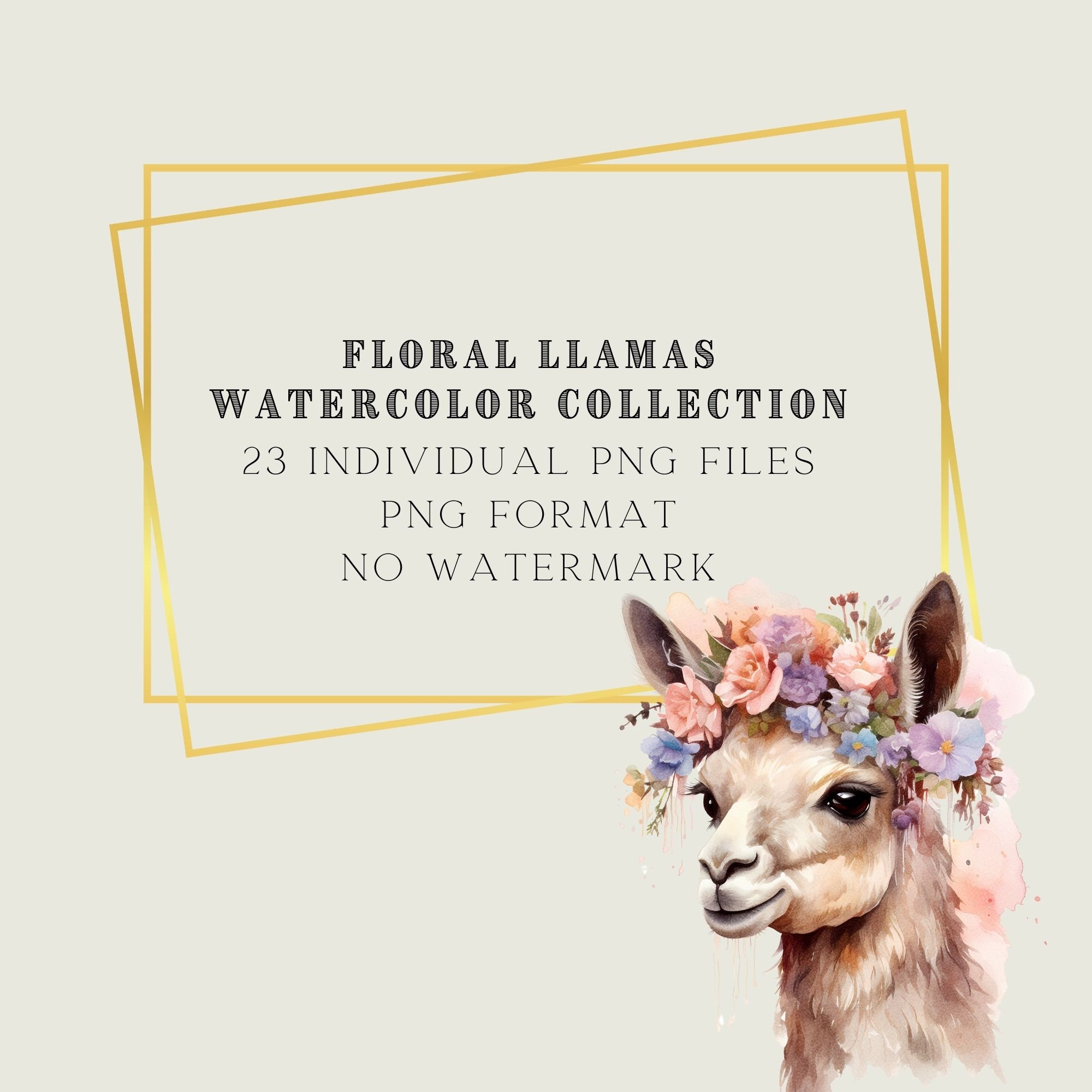 Watercolor Llamas Clipart, Cute Llama With Flowers Images, Graphics for ...