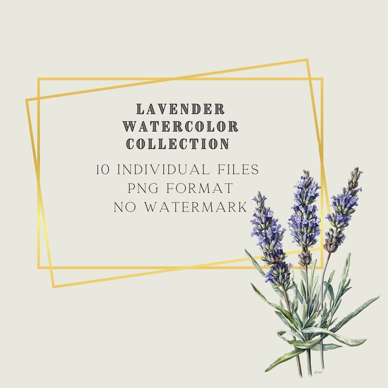 Watercolor Lavender Clipart Flower Clipart Wedding Clipart Violet ...