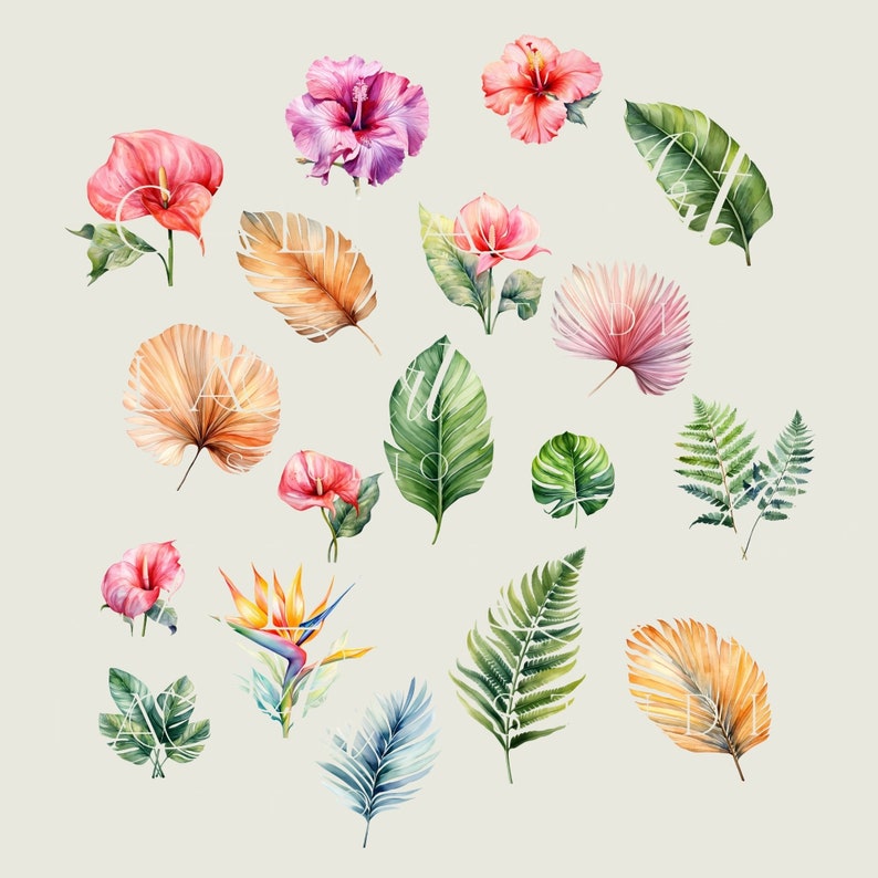 Tropical Flowers Clipart, Watercolor Hibiscus, Floral Watercolor ...