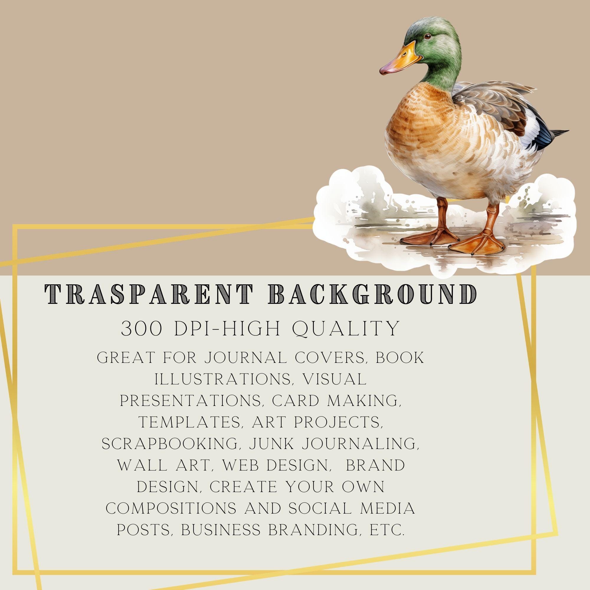 Mallard Ducks Clipart Bundle, Watercolor Clipart, Wild Duck Images, DIY ...
