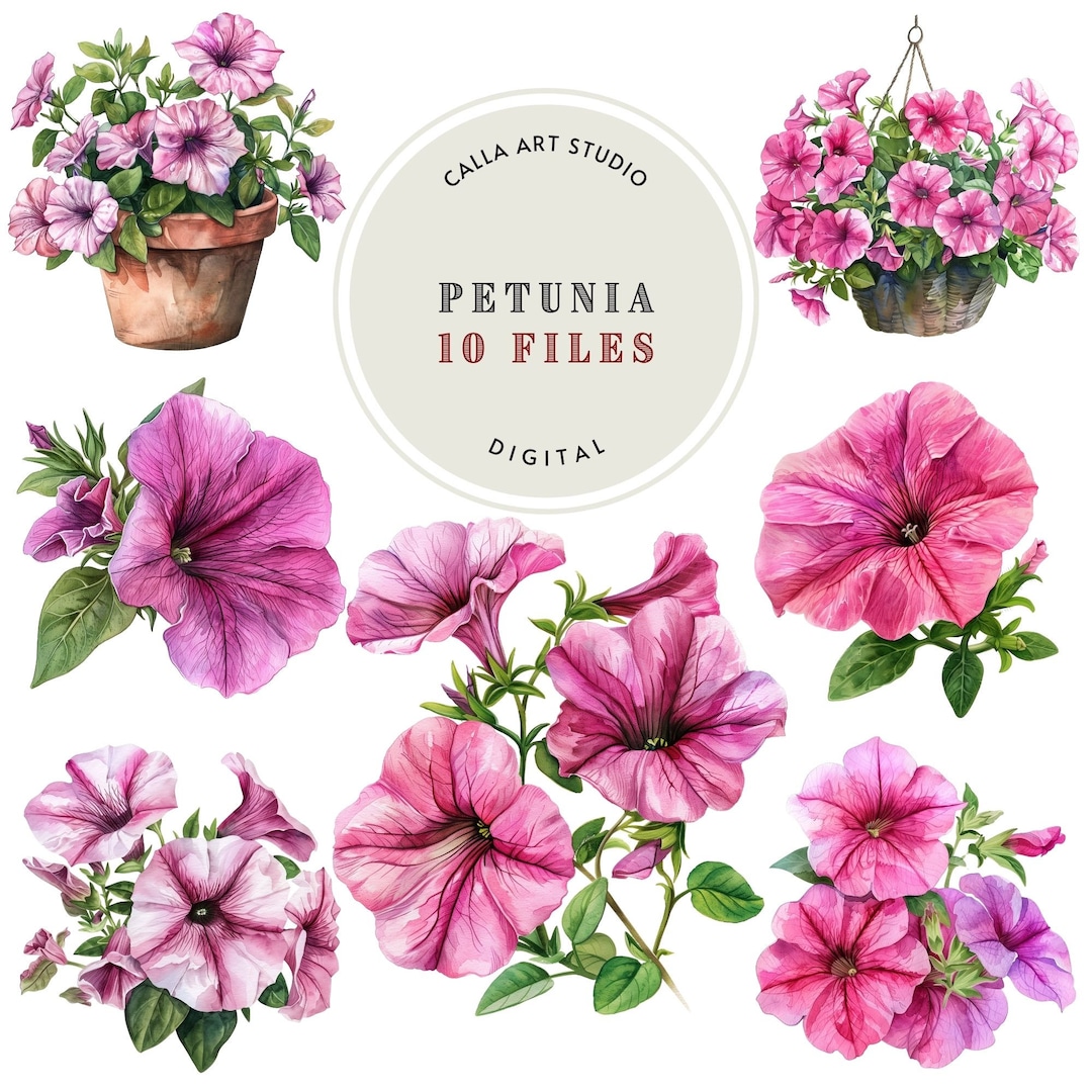 Petunia Clipart Bundle, Watercolor Floral Clipart, Botanical Floral ...
