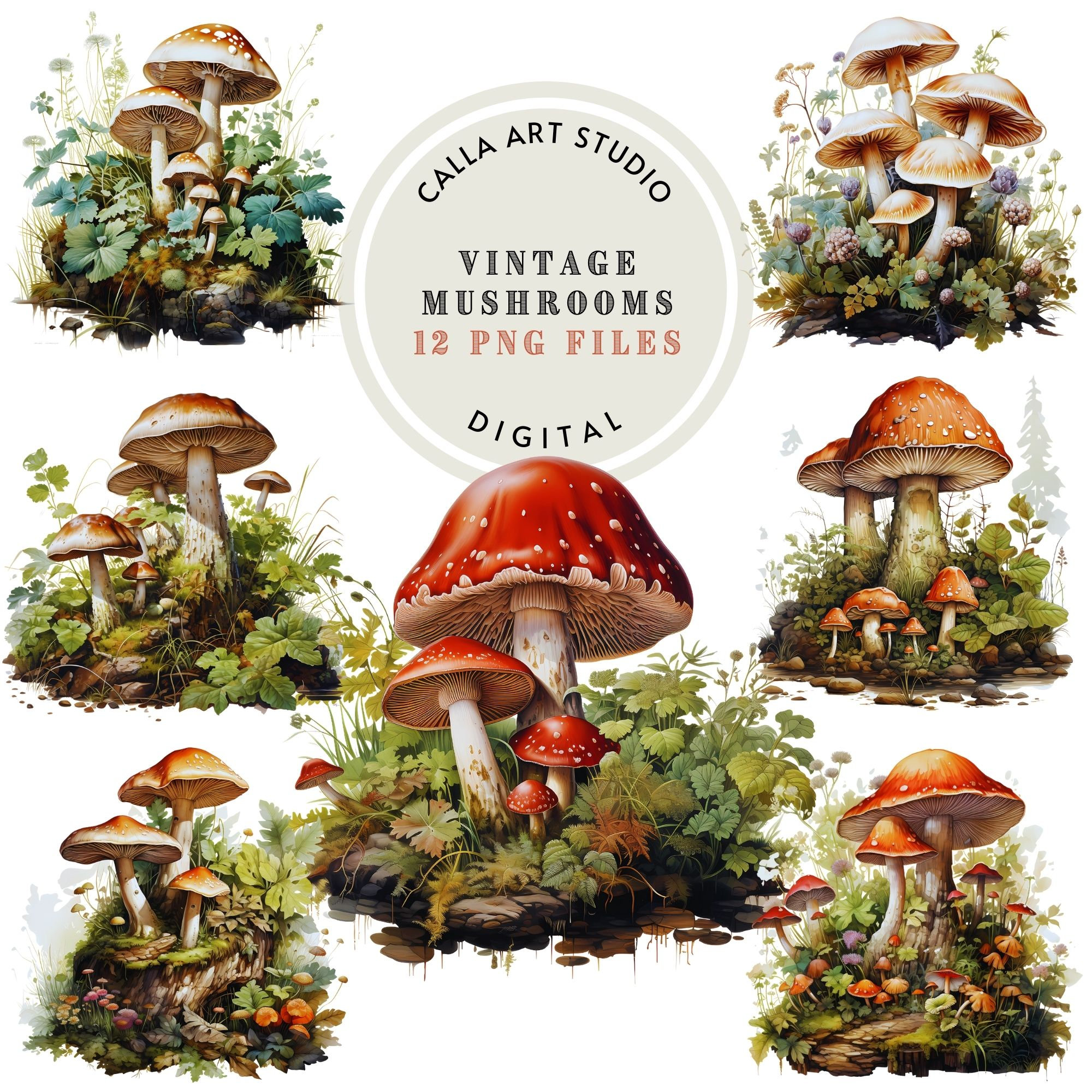 Watercolor Vintage Mushrooms Clipart Fantasy Mushrooms PNG - Etsy