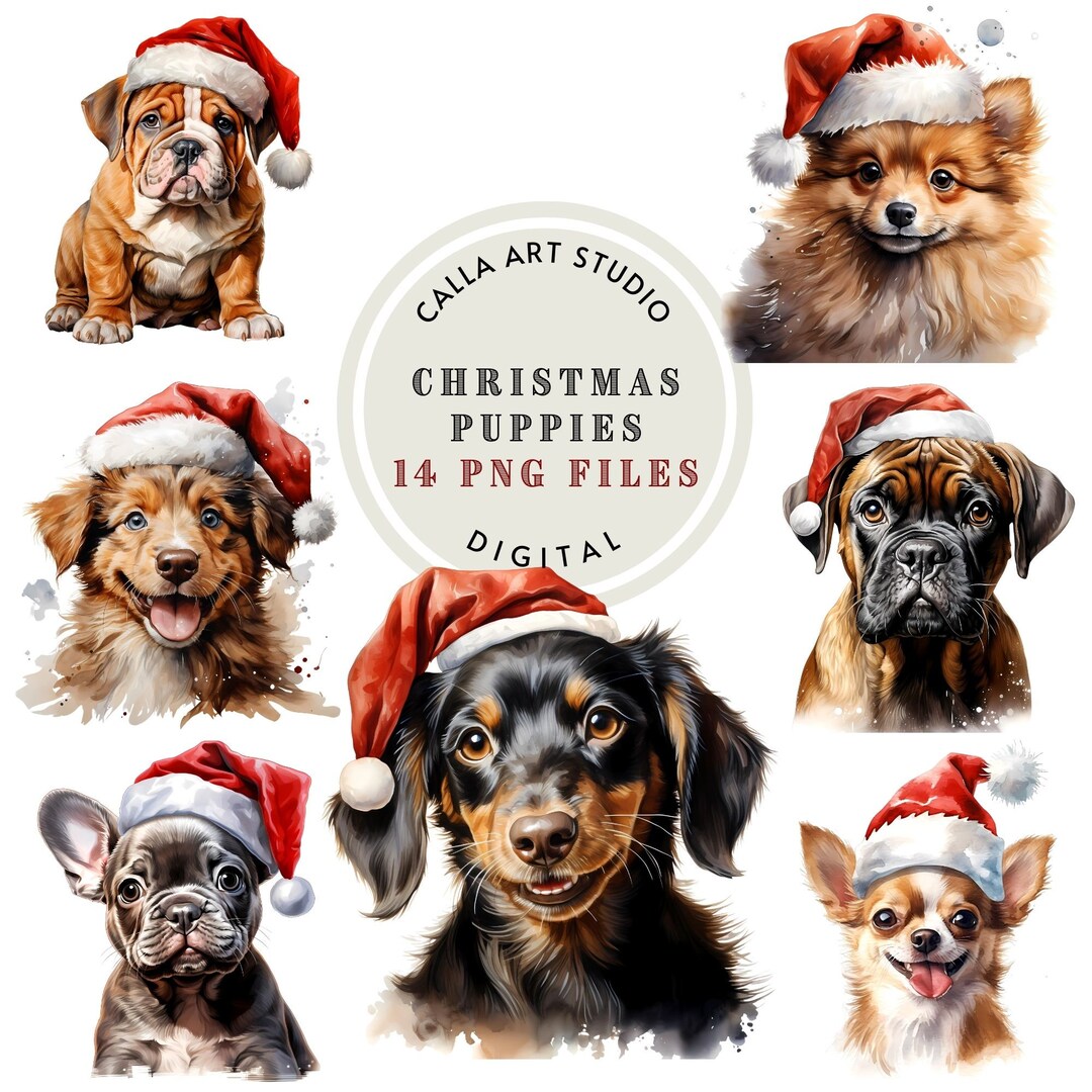 Watercolor Christmas Puppy Clipart, 14 High-quality PNG Files, Winter ...