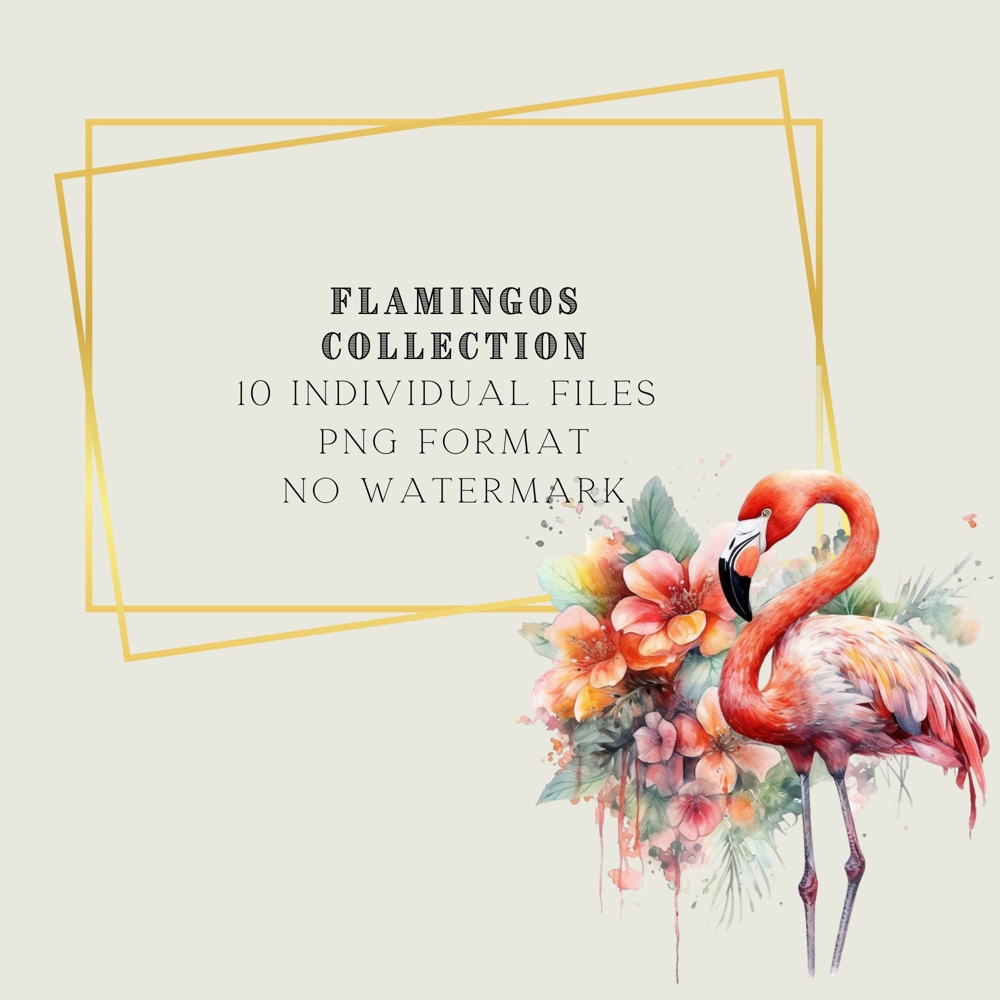 Flamingo Clipart Tropical Birds Clipart Pink Flamingo Png Watercolor ...