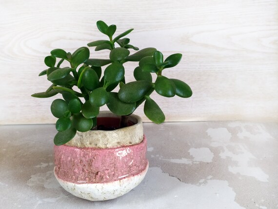 Ceramic Planter Pink Ceramic Plant Pot Handmade Pottery | Etsy