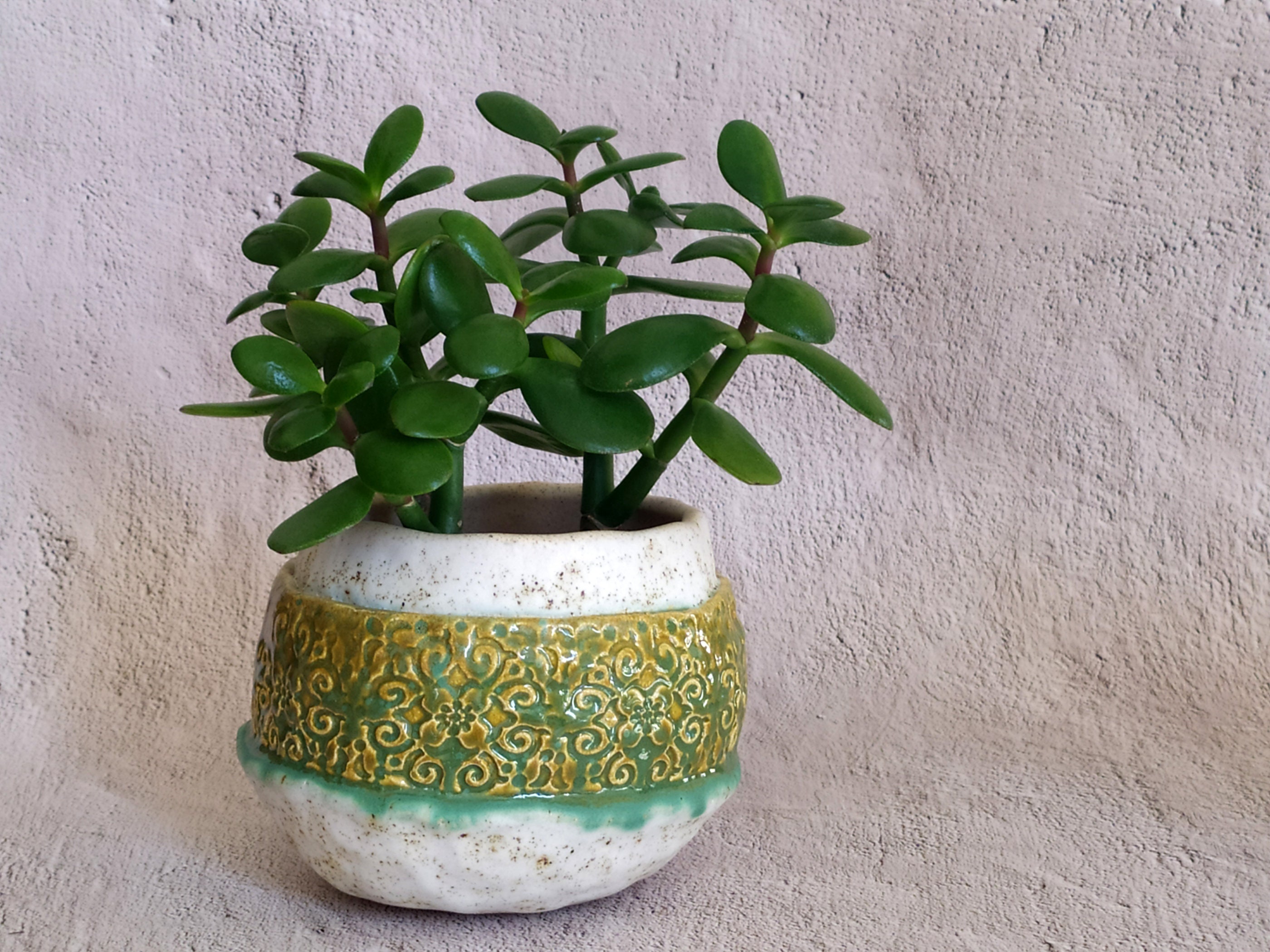 Turquoise Textured Ceramic Plant Pot Ready to Ship Ceramics and Pottery ...