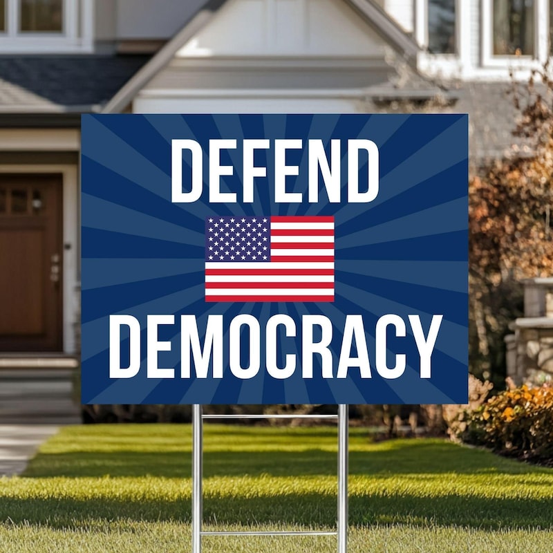 Democracy Protest Sign - Etsy