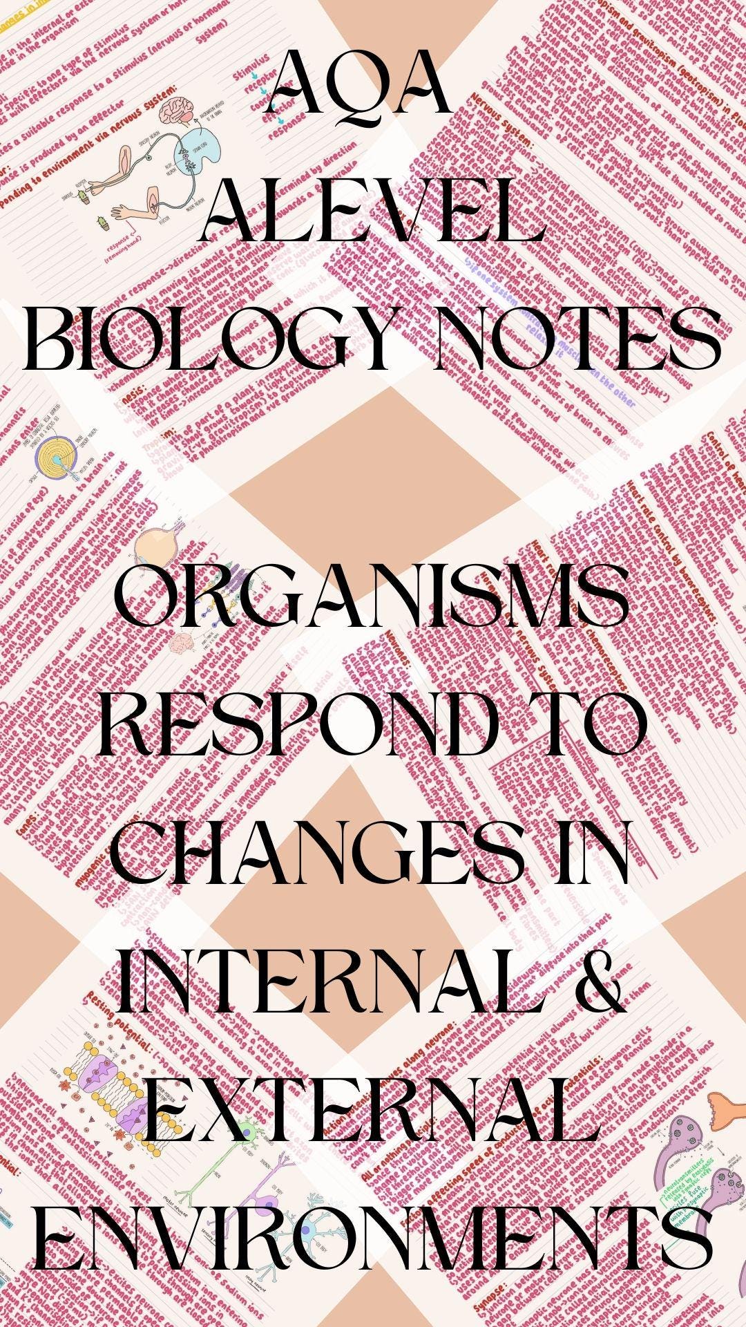 AQA A-level Biology Topic 6- Organisms Respond to Changes in Internal ...