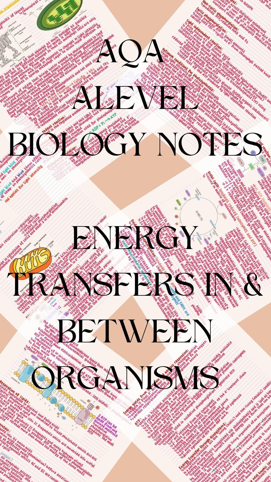 AQA A-level Biology Topic 5- Energy Transfers in & Between Organisms ...