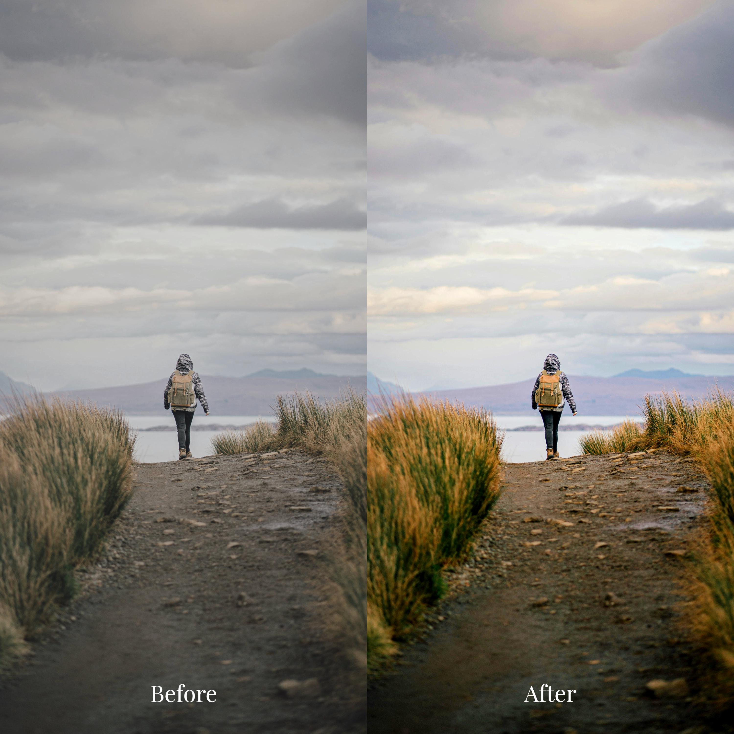 Rich Color LUT Pack: Vibrant .CUBE Presets for Davinci Resolve, FCP ...