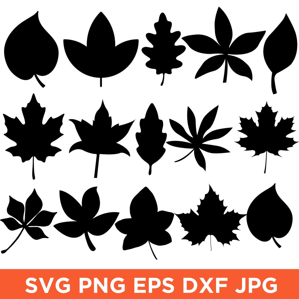 Leaf SVG Bundle, Autumn Leaves Silhouette SVG, Fall Leaf Clipart, Maple ...