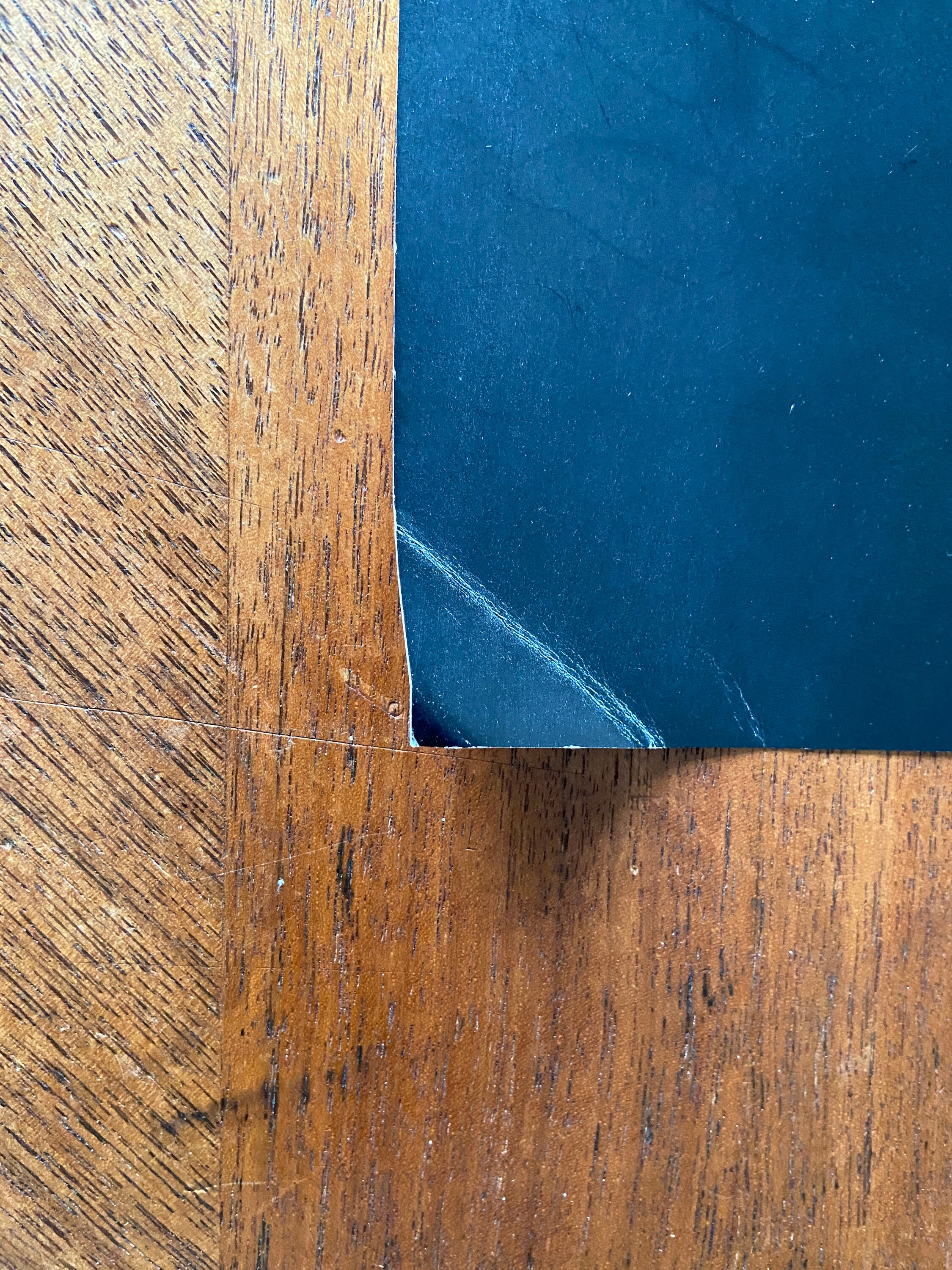 Dinotopia James Gurney Vintage Poster 1992 26" X 18" - Etsy