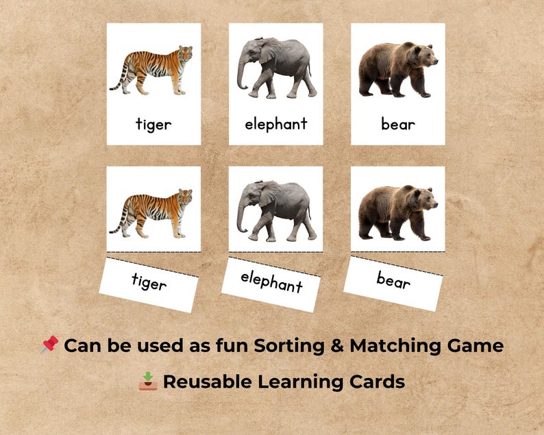 Animal Flashcards for Kids | 56 Printable Cards | Preschool ...
