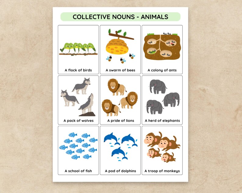 Collective Nouns Posters for Kids | 3 Grammar Charts (people, Animals ...