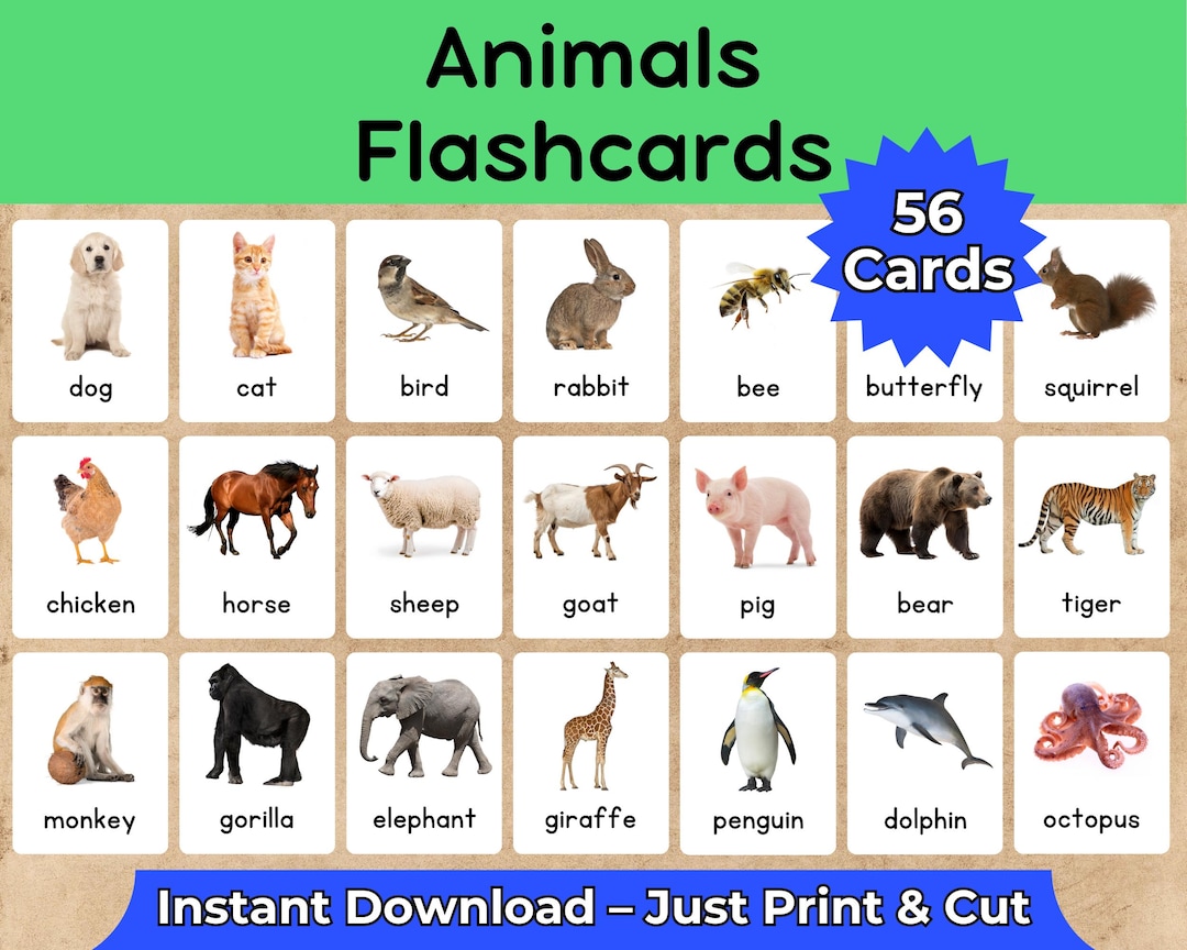 Animal Flashcards for Kids | 56 Printable Cards | Preschool ...