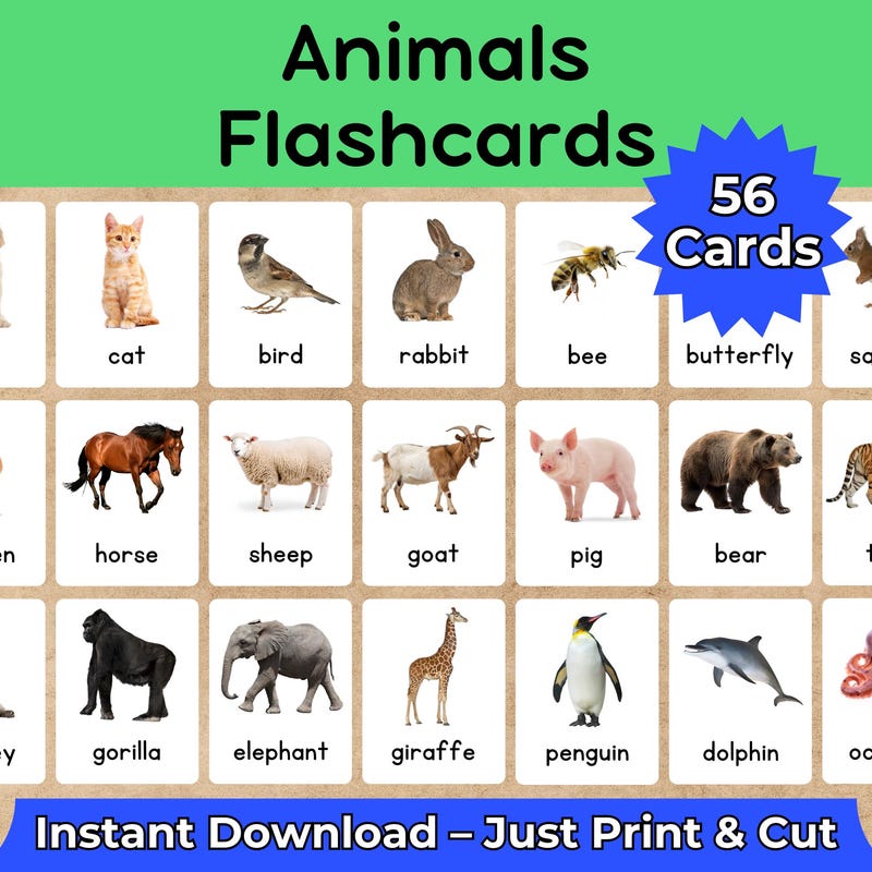 English Card Game Names - Etsy
