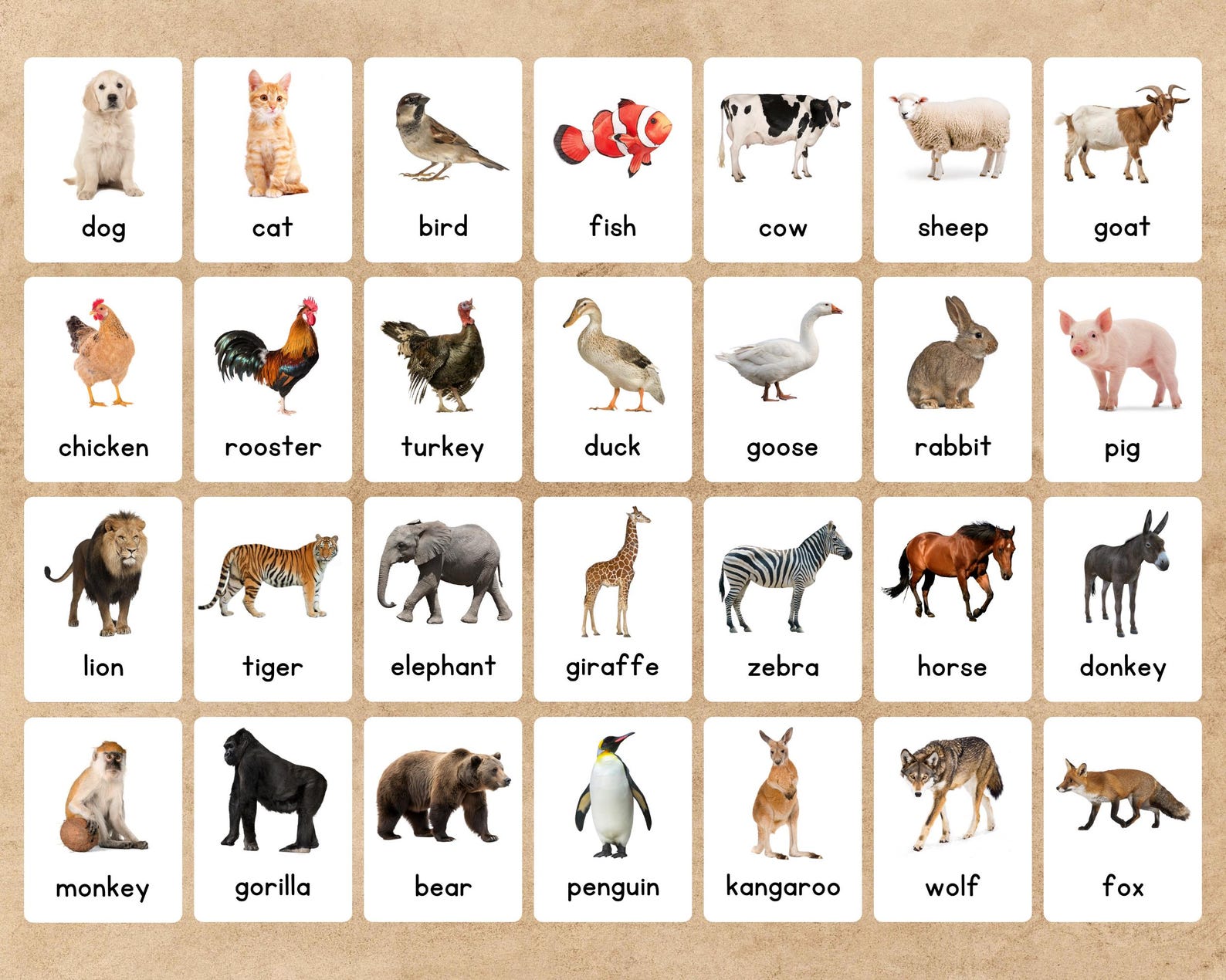 Animal Flashcards for Kids | 56 Printable Cards | Preschool ...