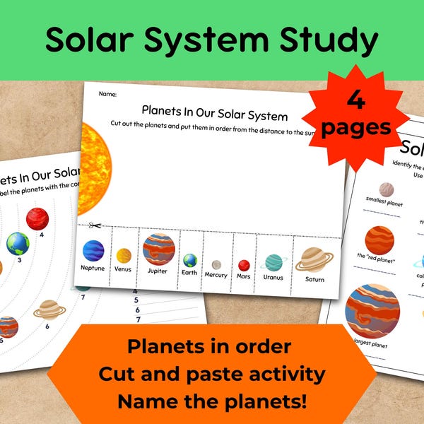 Stem Study Grade - Etsy UK