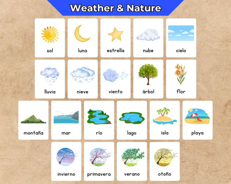 Spanish Vocabulary Flashcards | 150 Printable Common Words Cards ...
