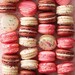 Beginner-friendly Macaron Recipe | Easy-to-follow PDF Guide - Etsy