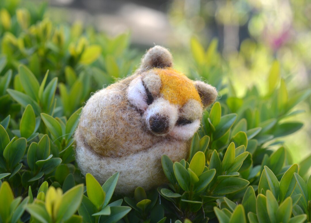 Summer Sleeping Arctic Fox | Handcrafted Miniature | Pocket-sized ...