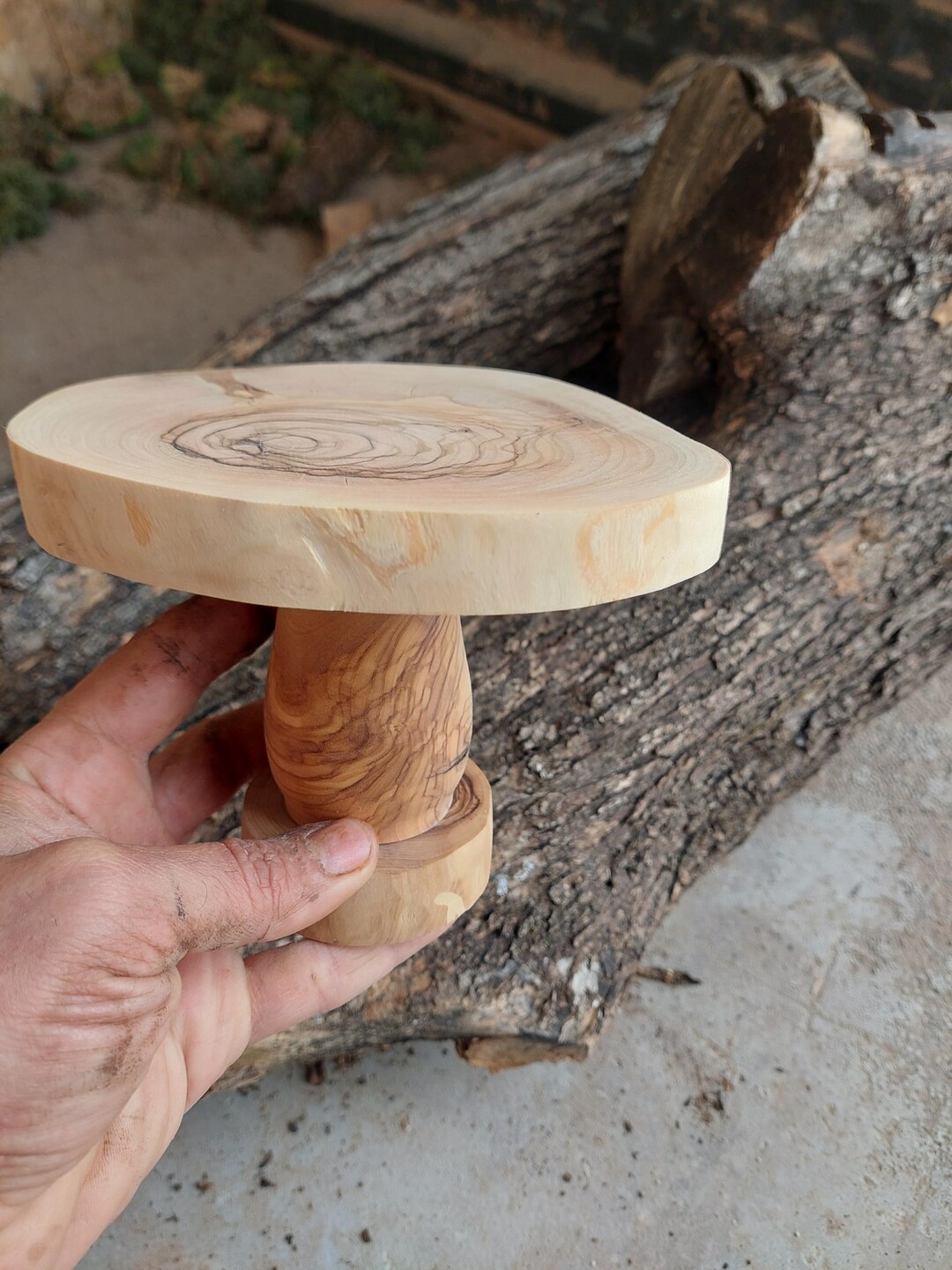 Live Edge Stand for Plants , Furniture, Riser With Options - Etsy