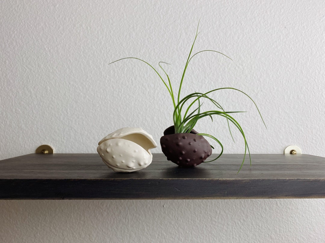 Seedpod Ceramic Air Planter // Handmade Natural Planter Holder Pot - Great Gift! Unique Indoor ...